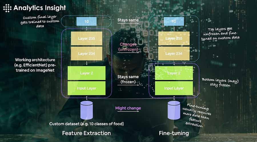 How to Fine-Tune a Pre-Trained Model in TensorFlow?