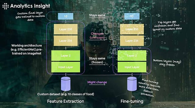 How to Fine-Tune a Pre-Trained Model in TensorFlow?