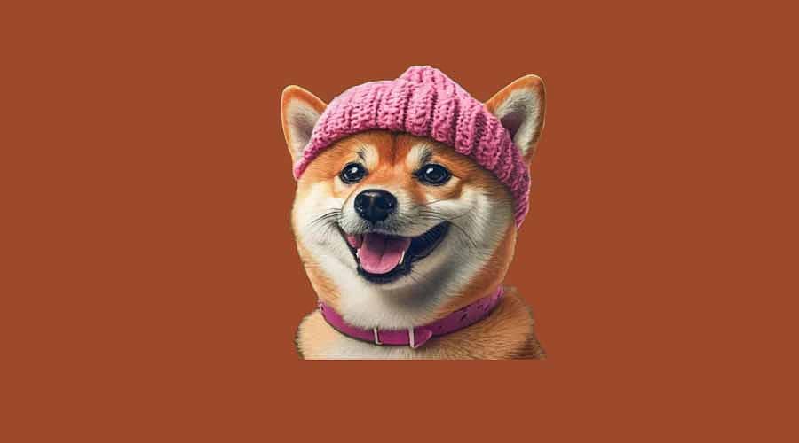 DOGE and WIF Recover Slightly In 24 Hours - Meme Coin Presales Stealing ...