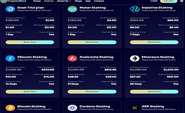 4 Best Crypto Staking Platforms for Beginners