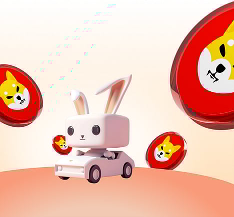 24-Hour Meme Coin Rally: Shiba Inu And Pepe Shine – Rising Star Raboo ...