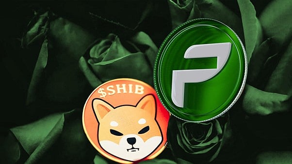 Shiba Inu Price Projections Turn Bullish as a Lesser-Known Dogecoin ...