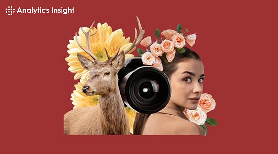 Top 10 AI Photo Generators to Try