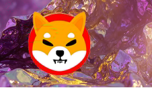 Shiba Inu News: Trader Calls 2025 a Year of Big Gains, How High Will ...