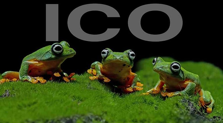 The Power of Frog-Themed Memes - New ICO Preparing For The Biggest ...