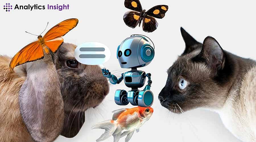 The Dr. Dolittle Dream Team: Can We Talk To Animals Using AI?