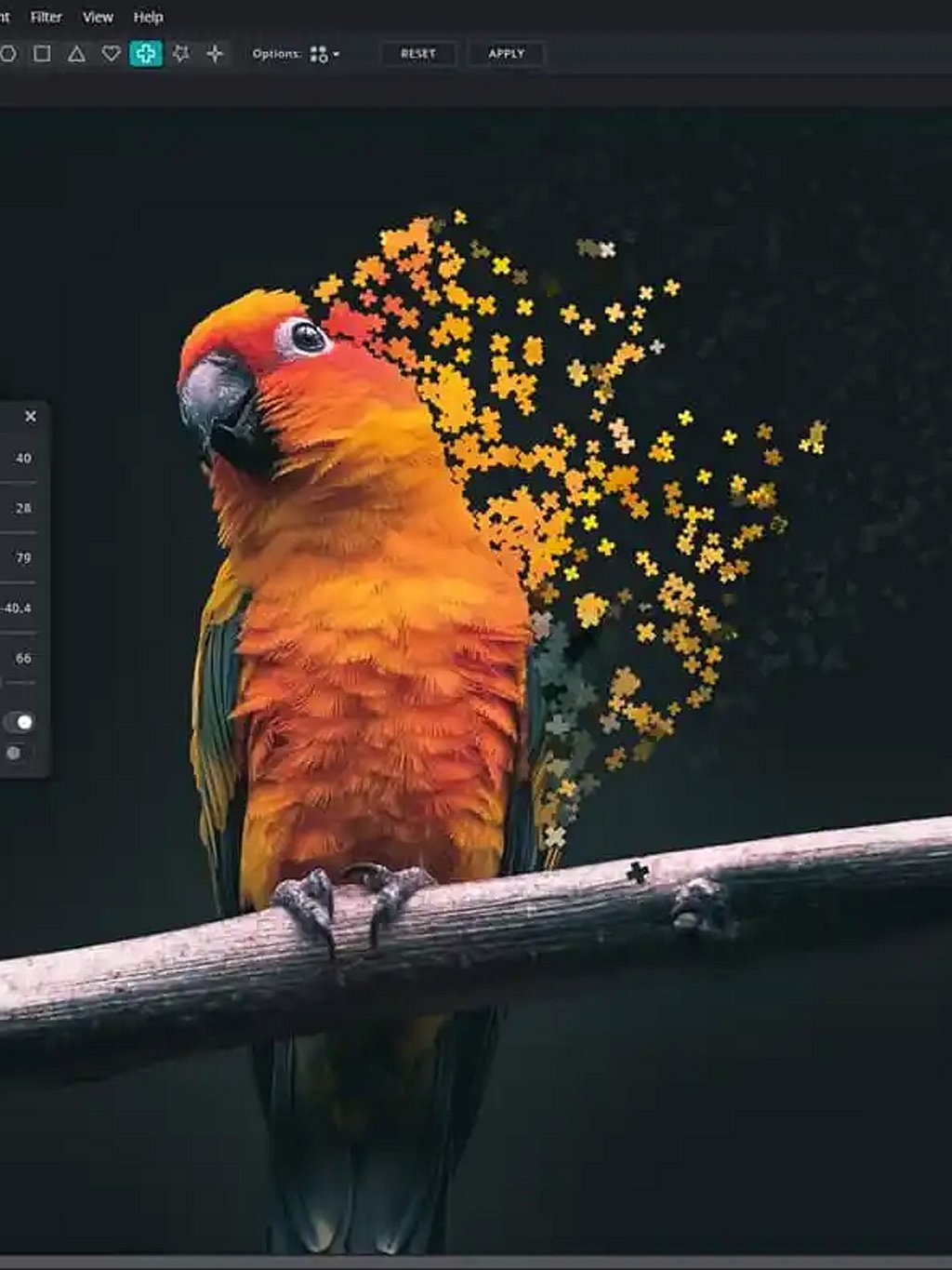 Best Photo Editing Software for Beginners