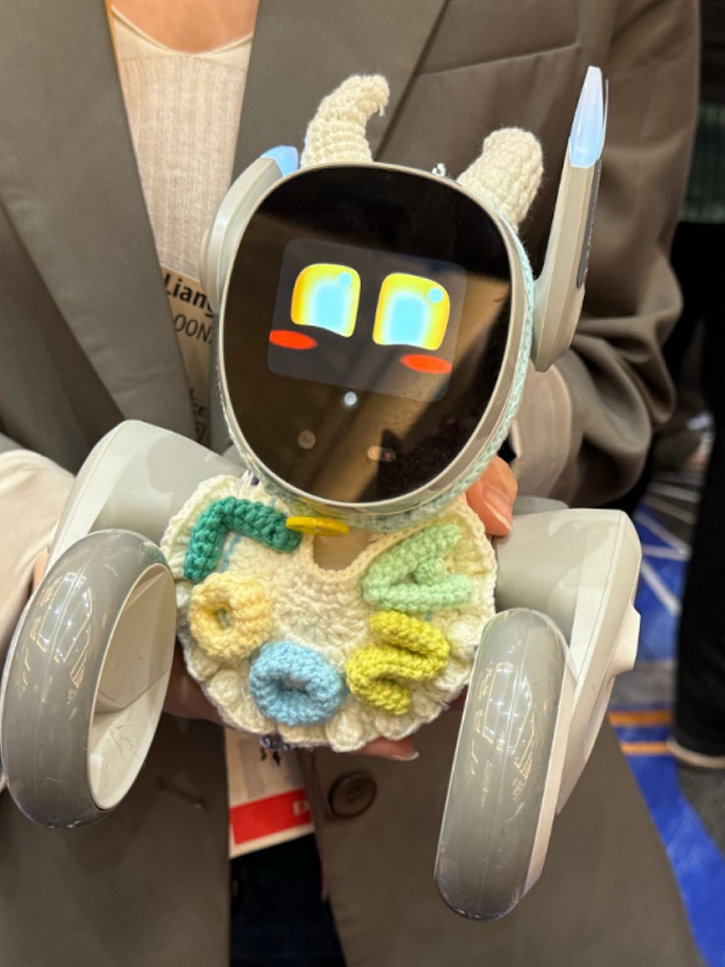 Cutest Robots at CES 2025: Mirumi and More