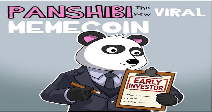 Panshibi (SHIBI): The Presale Launch That Can 100X Your Investment