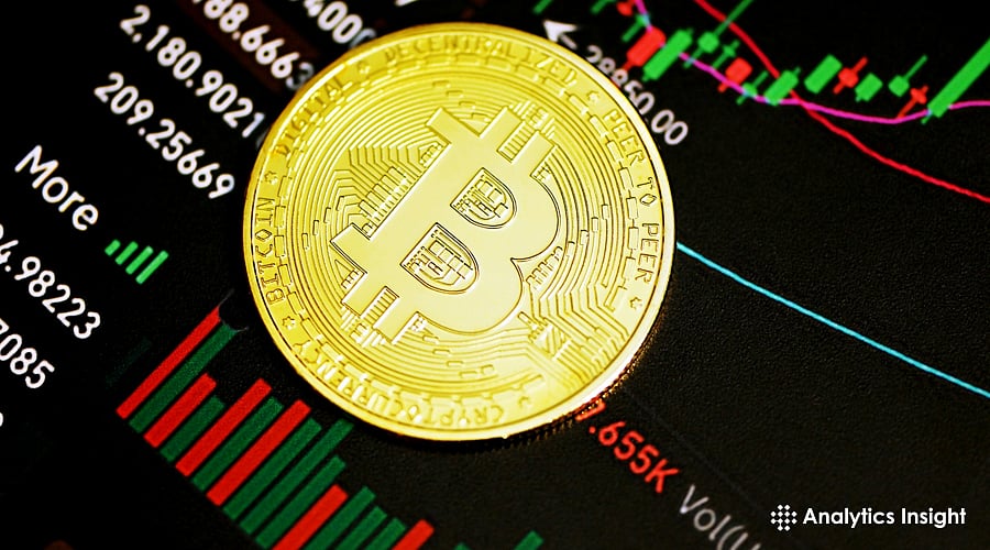Exploring Bitcoin Price Fluctuations: A Learning Guide