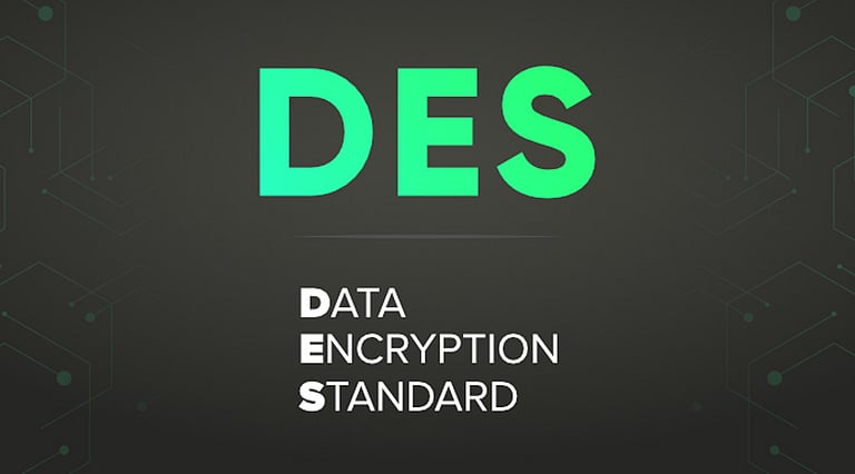Popular Encryption Algorithms and the Future of Cybersecurity