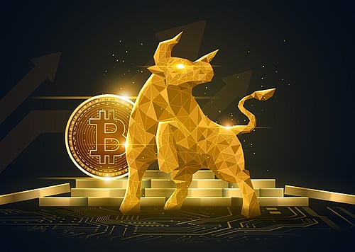 Trump–Musk Feud Triggers $355M Meme Coin Frenzy — Here’s Why Traders ...