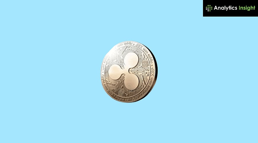 XRP Drops 30% Since January 2025: Will These Factors Spark a Comeback?