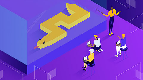 Boost Your Python Game with These Must-Try Datasets