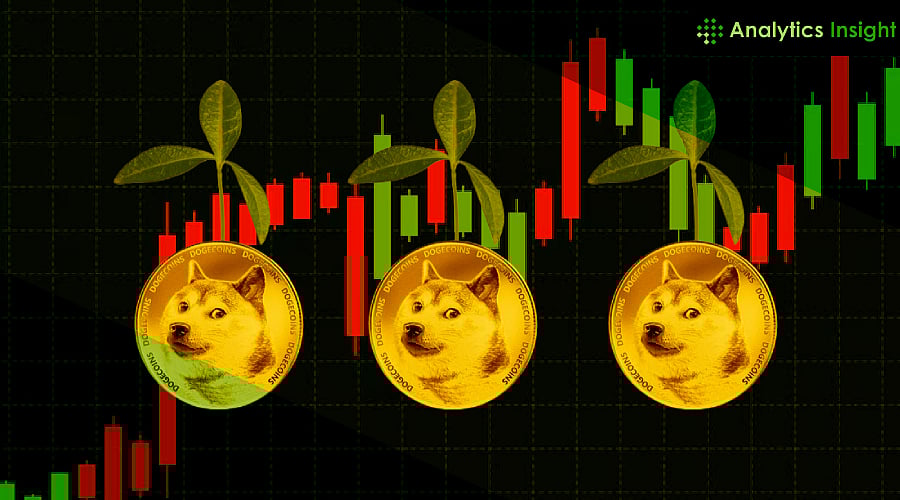 Dogecoin Price Prediction in 2025