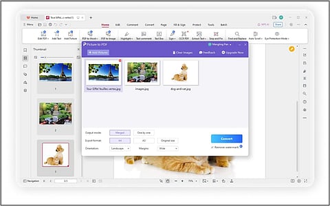 JPG to PDF Made Easy – Fast, Free & Reliable Method