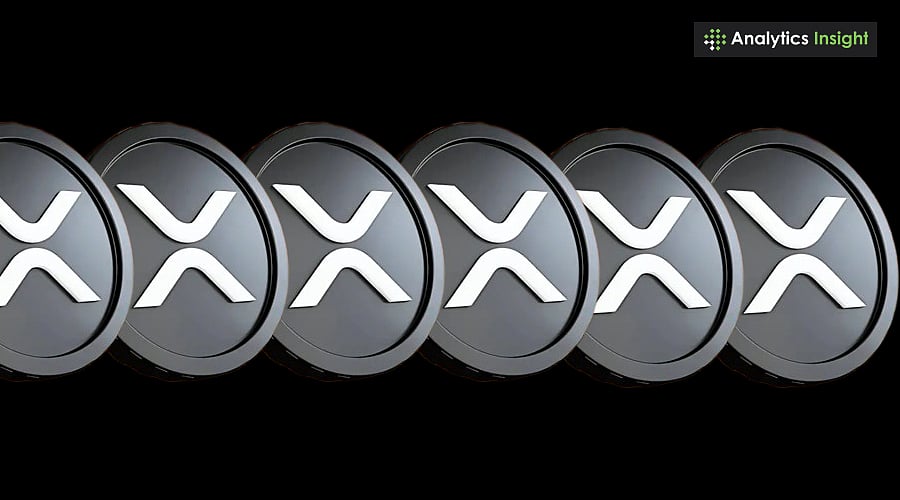 How Much XRP Do You Need to Be in the Top 1% Holder in 2025?