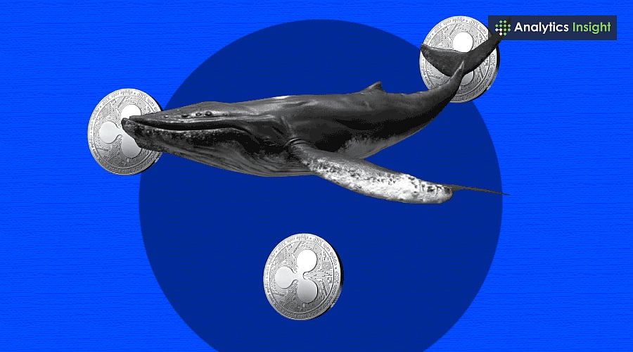 Whale Moves $60M in XRP to Coinbase: What Could Happen Next?