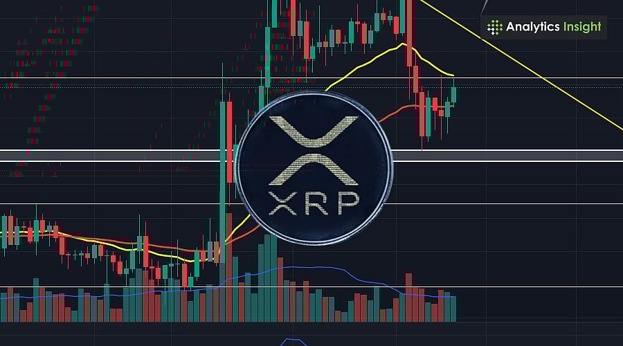 XRP Price Prediction: Could Global Adoption Push It to $30 Soon?