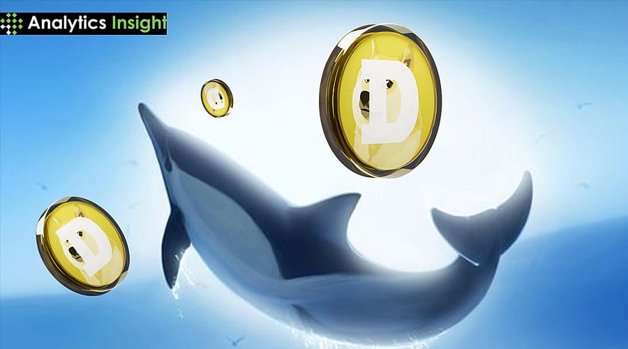Dogecoin News Today: Dogecoin Whales Spend $200M in 24 Hours, Boost ETF ...