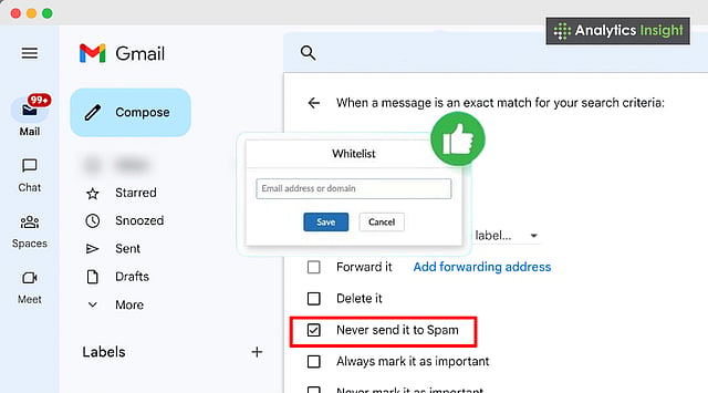 A Detailed Guide on How to Whitelist Emails