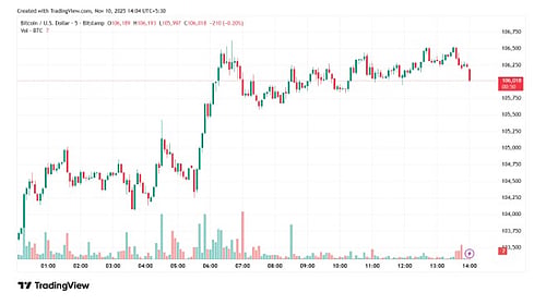 Will Bitcoin Surge Beyond $106,000 for Bull Run?