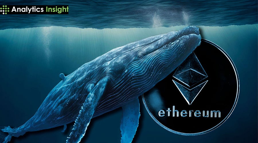 Ethereum News Today: Whales Accumulate $350M in ETH Amid Market Dip: Is ...