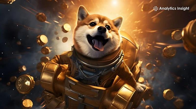 Will Dogecoin & Shiba Inu Recover After the Crash?
