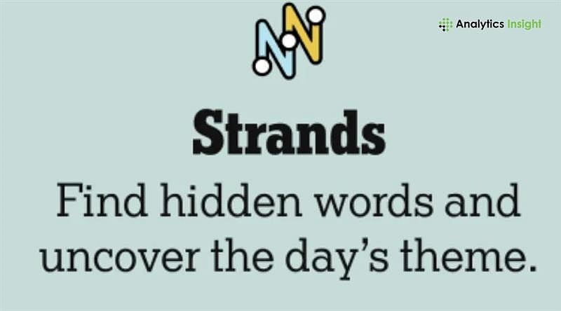 NYT Strands Today: November 24 Answers, Hints, and Spangram Explained