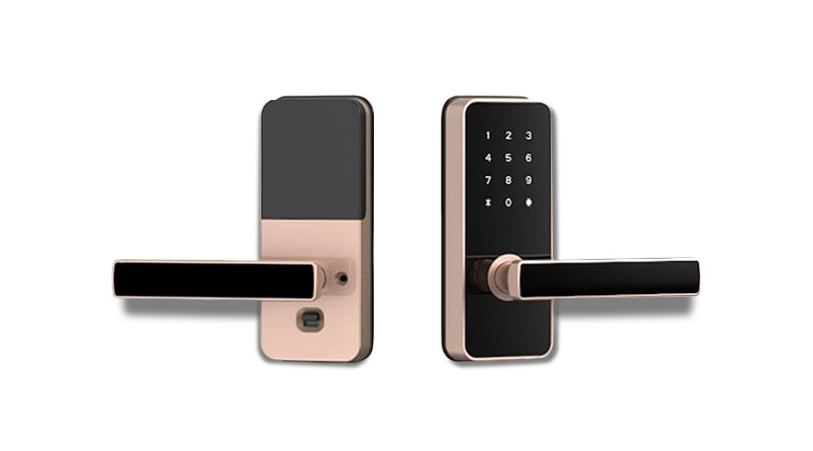 Top Voice-Controlled Door Locks in 2025