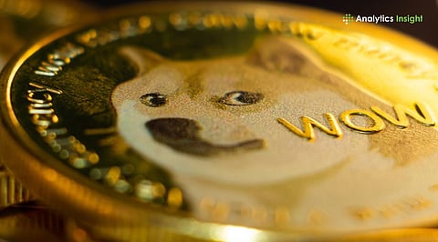 Check These Factors Before You Invest in Dogecoin