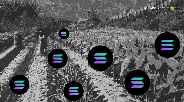 Top Solana Yield Opportunities of 2025