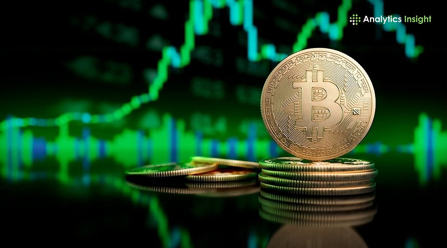 Steps to Build a Long-Term Crypto Portfolio