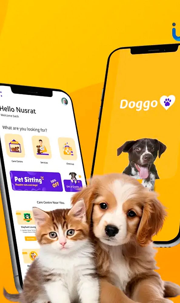 Top-rated Dog Training Apps for Pet Owners