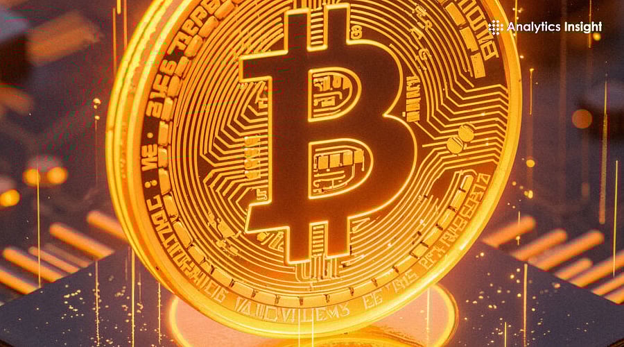 Learn BTC Portfolio Tracking in 2025