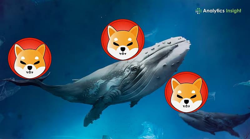 SHIB Surges in 2026 as Whale Control and Memecoin Signals Reappear