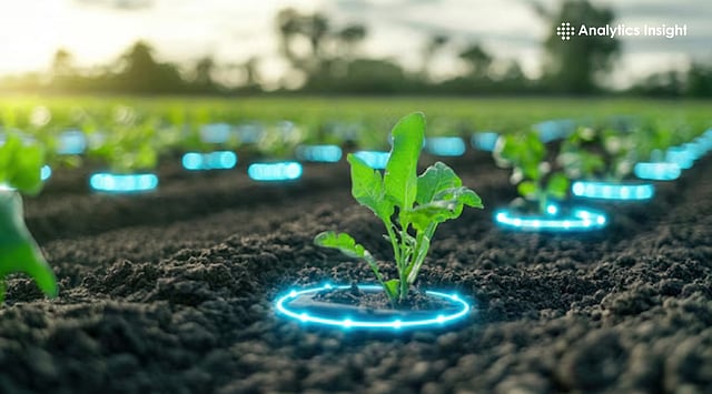 How is AI Used in Soil Health Analysis and Management