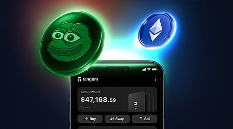 Top-Rated Meme Coin Tracking Tools for Beginners