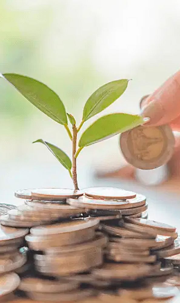 Which Are the Best Flexi Cap Mutual Funds to Invest in January 2026