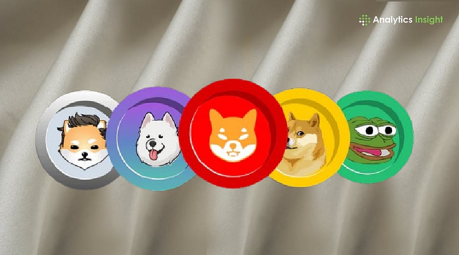 Key Signs to Notice Before a Meme Coin Rug Pull