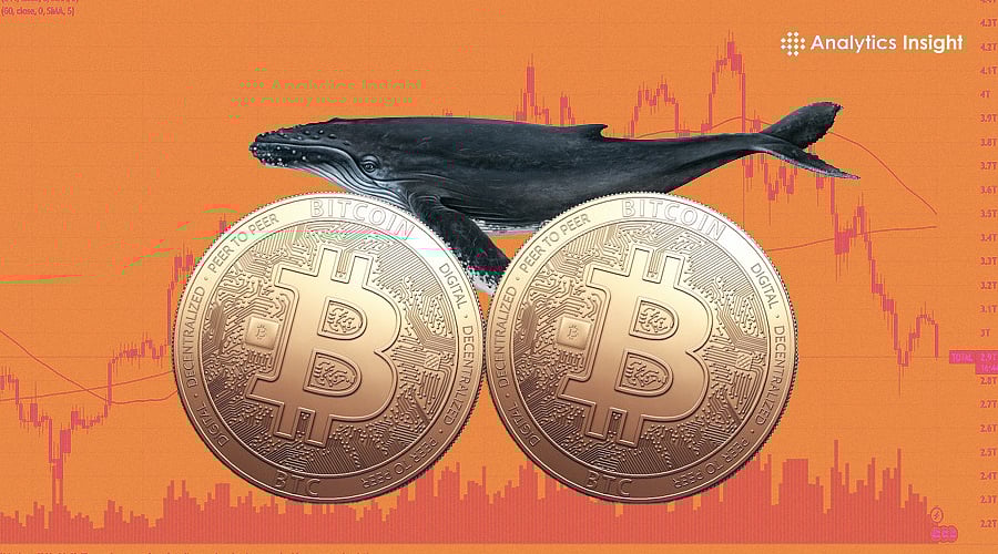Bitcoin Whales Buy the Dip as Retail Sells During $89K Pullback: Is the ...