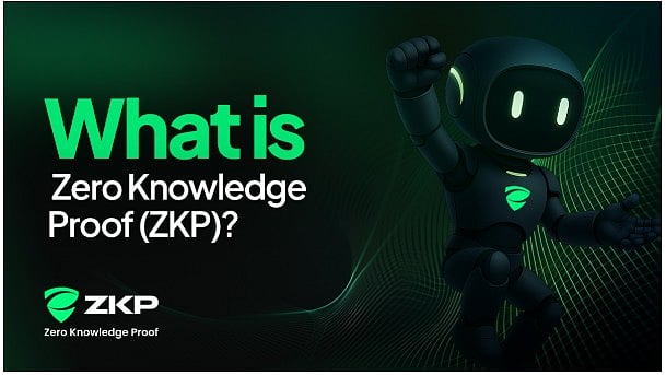 What is Zero Knowledge Proof (ZKP)? The $100M Privacy Titan Ready to ...