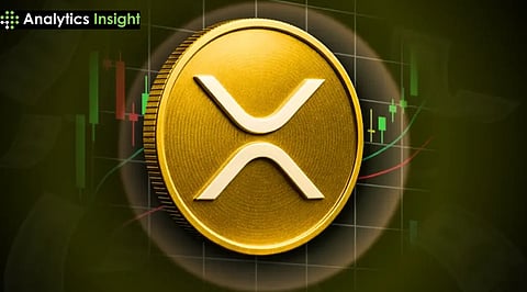 XRP News Today: XRP Price Support Holds as Whales Accumulate and ETF ...