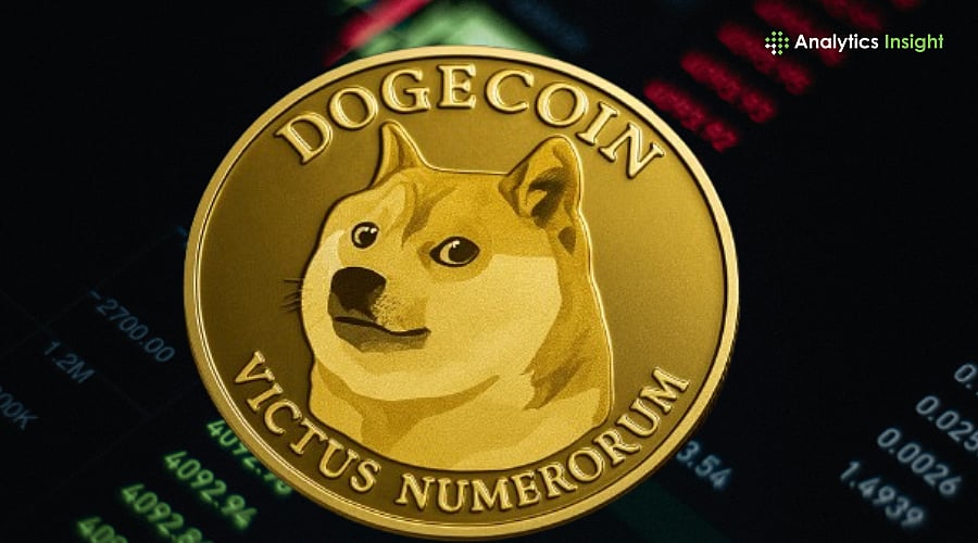 IS DOGE’s Hype Reset a Growth Opportunity?