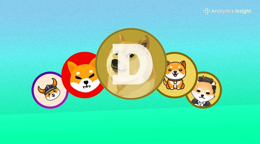 Top Meme Coin Trading Exchanges in 2026