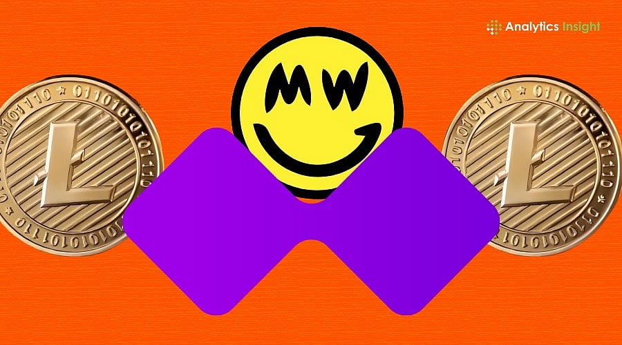 What is Mimblwimble Protocol? Technology Behind Privacy Coins like Grin ...