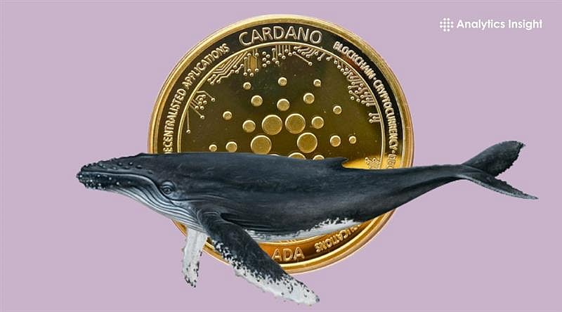 Crypto News Today: ADA Whale Accumulation, Meta’s Stablecoin Revival ...