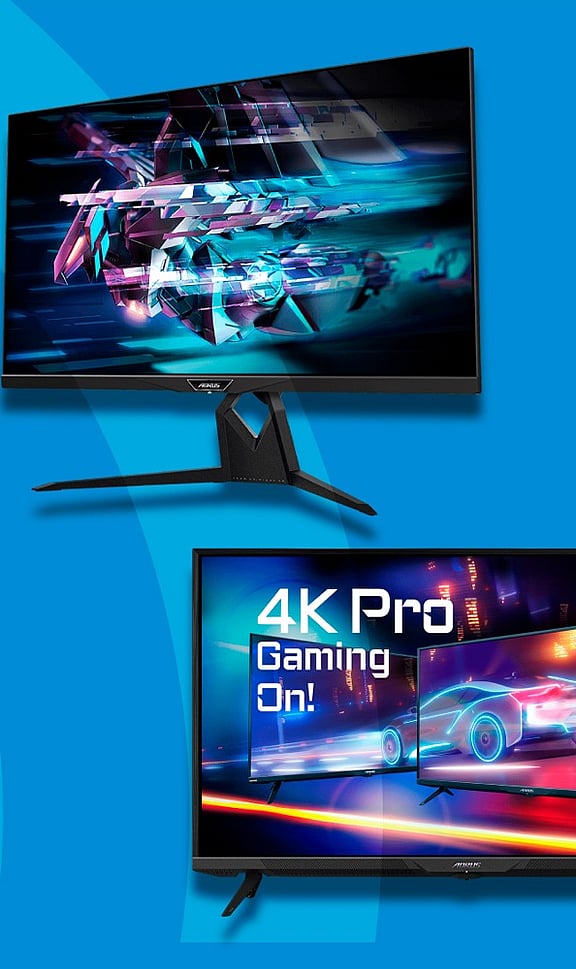 Top Monitors Under Rs. 30,000