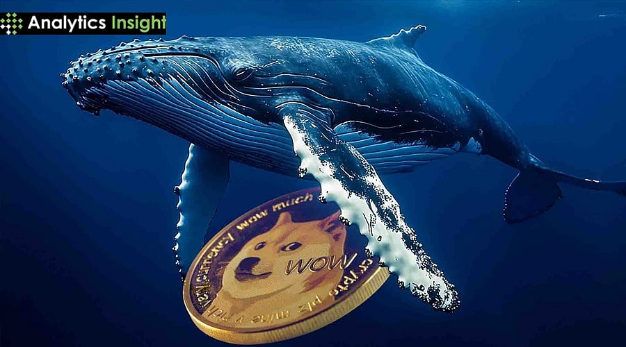 Dogecoin Price Today: DOGE Holds Near $0.10 as Whales Build Longs and ...