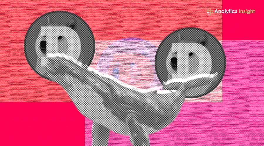 Dogecoin Whale Holdings Hit Record as DOGE Activity Spikes Again